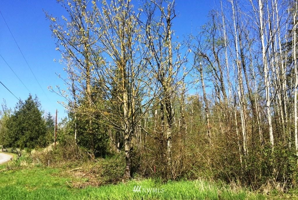 MLS#1870566: 2105 Lindsay Road, Everson, WA 98247